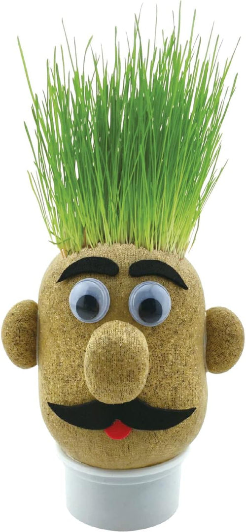 Funtime Gifts Grasshead Novelty Grow Your Own Grass Head, Green — Cosmic Duck